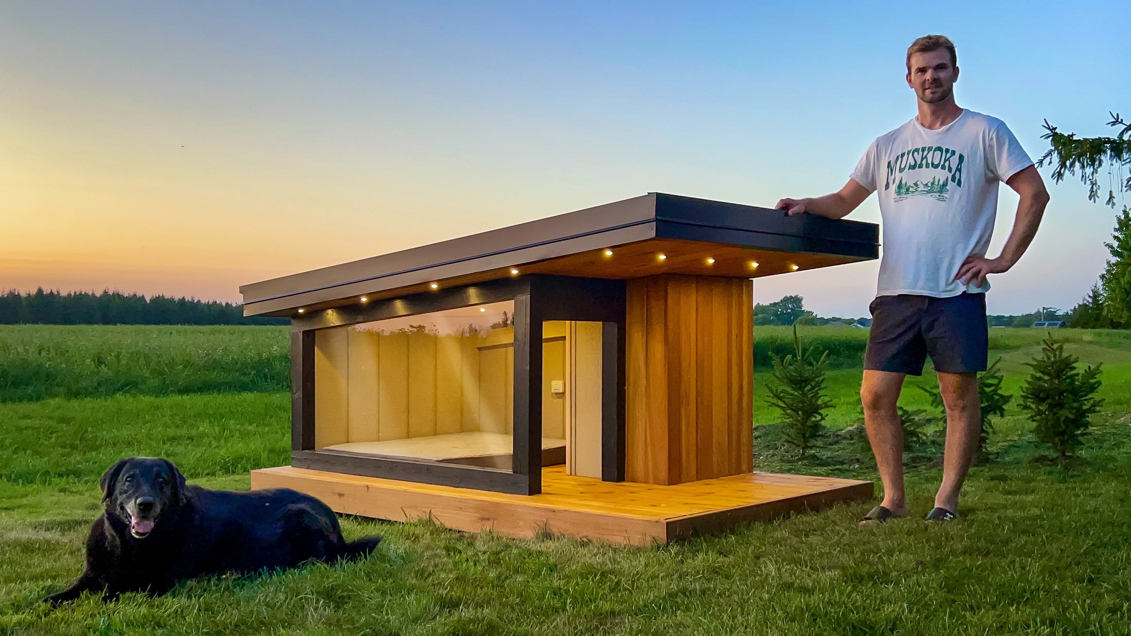 Modern Insulated Dog House - 2025 – Drew Builds Stuff